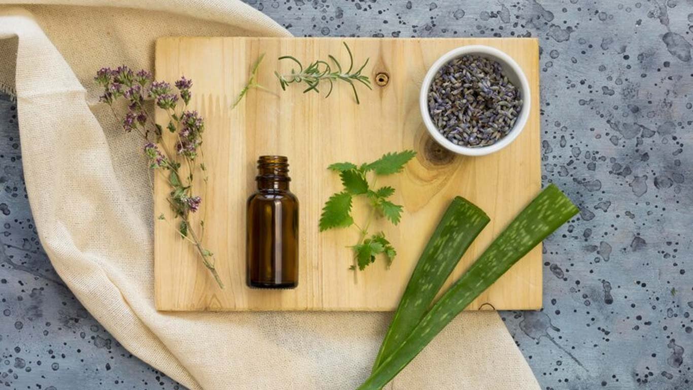 Vena CBD: Ultimate Guide to High-Quality Wellness Products - Digi Magazine